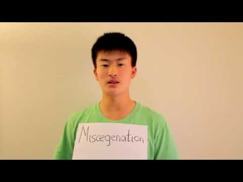 The Y.K. Dictionary - Miscegenation