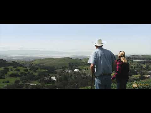 Listing Diamond W Stables Santa Clara California 1080p