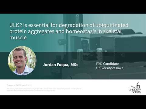 ULK2 essential for degradation of ubiquitinated protein aggregates & homeostasis in skeletal muscle