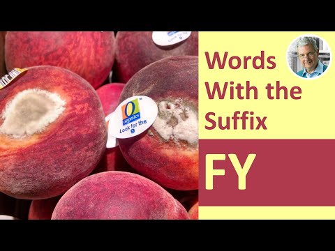 Words With the Suffix FY (6 Illustrated Examples)