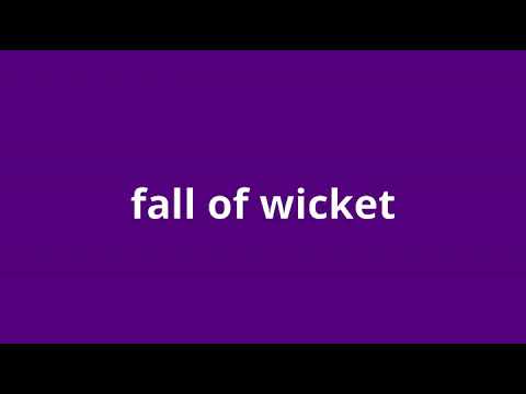 what is the meaning of fall of wicket