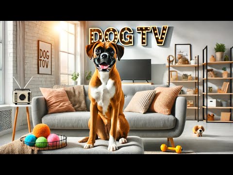 Dog TV: 12 Hours of Relaxing Music and Videos for Dogs. Soothe Your Pup's Anxiety.