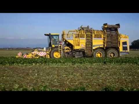 Vidéos Ropa, avis, prix pour bien acheter les produits Ropa