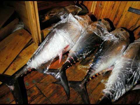 Tuna--Open up a can of truth