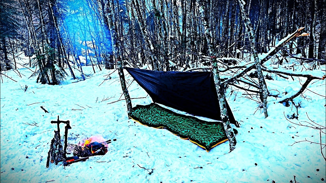 Surviving in the snow and freezing