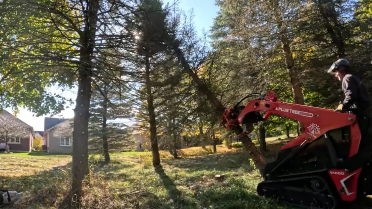 I Love This Chinese Mini Skid Steer! Derette V1000
