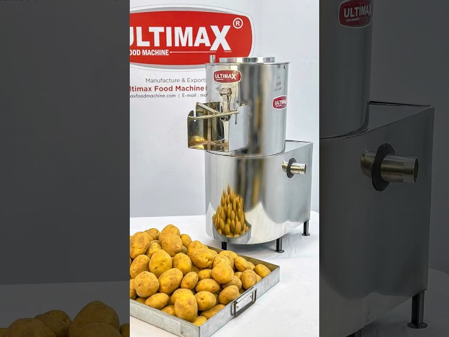 Potato Chips Making Machine - Potato Peeler Machine Manufacturer from ...