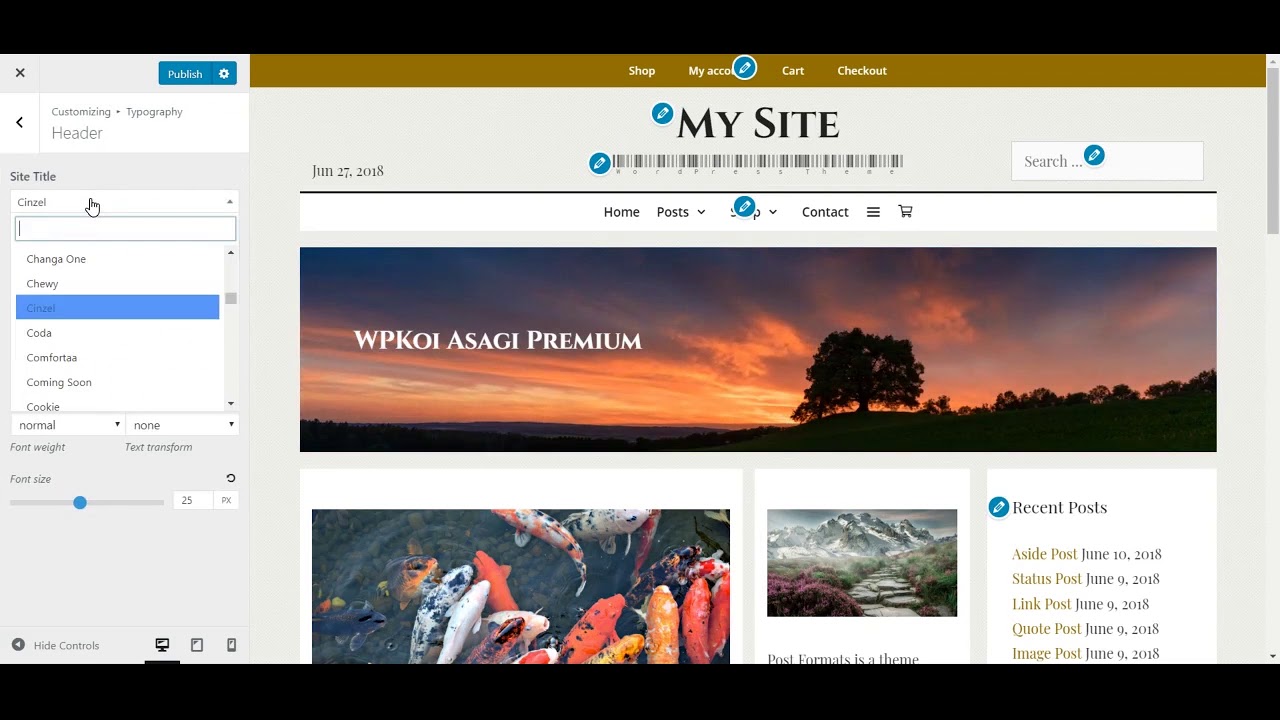 WPKoi Asagi- Customizer instructions