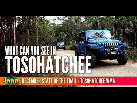 December in Tosohatchee WMA what will you see?