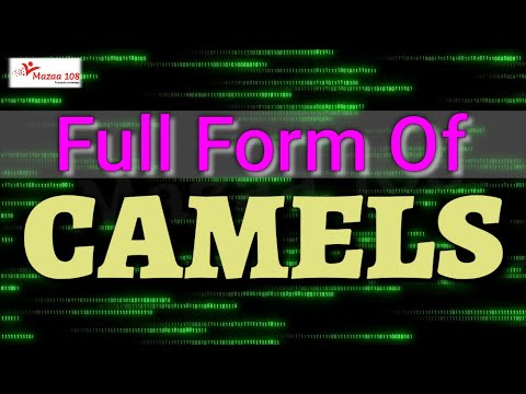full form of CAMELS | CAMELS stands for | CAMELS Means | Financial & Banking | Mazaa 108 | #Mazaa108