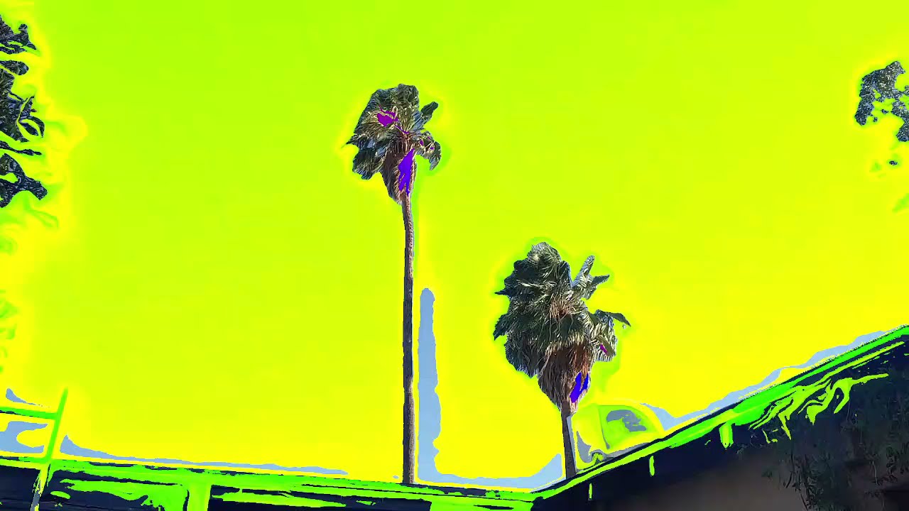 EBsynth test 1