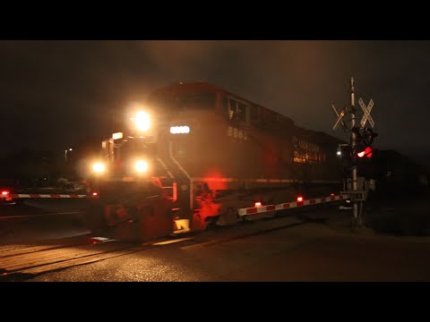 8 Trains in Laredo, TX. (11/27-12/07/24)