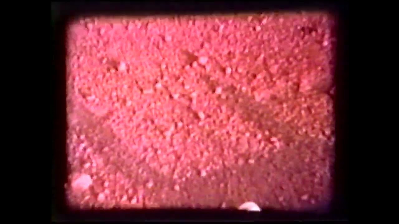 Alien Workshop - Memory Screen (1991) VHS Film