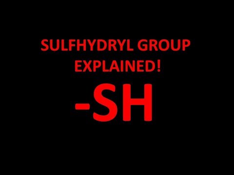 Sulfhydryl functional group explained!