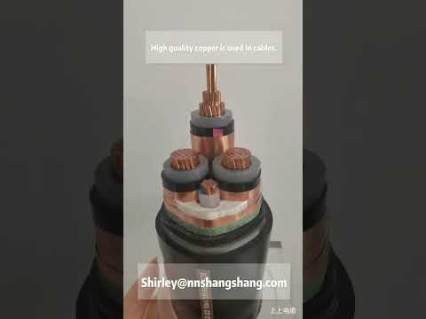 SHANGSHANG CABLE VFD cable show