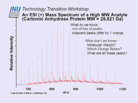IBIS 2009 : 01 : Mass Spectrometry