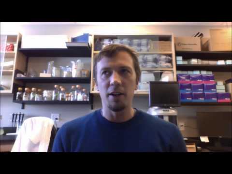 Do personal DNA testing kits really work?
