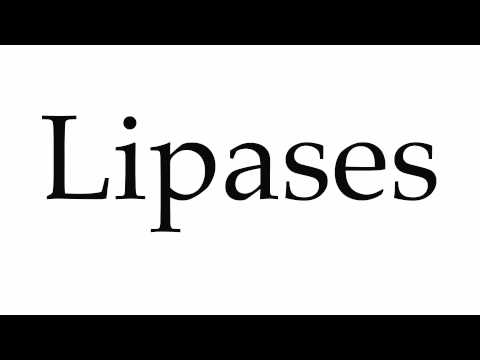 How to Pronounce Lipases