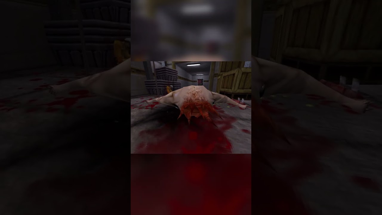 I love this HL Alpha mod 😂