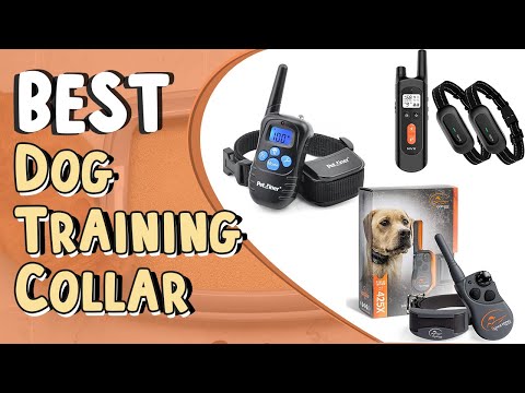 Top 5 Best Dog Training Collar | Best Dog Training Collar on Amazon,