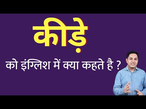 कीड़े को इंग्लिश में क्या कहते हैं ? kide ko English mein kya kahate hain | Spoken English classes