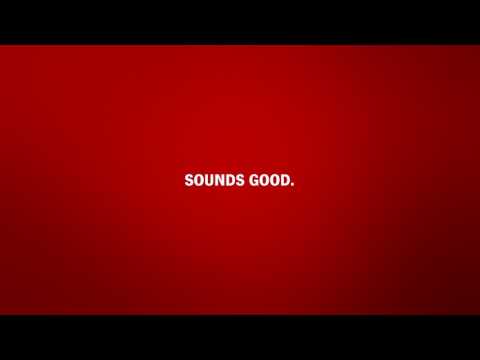 Steve Lane - State Farm - Equalizer