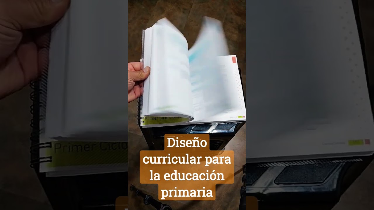 diseño curricular para la educación primaria