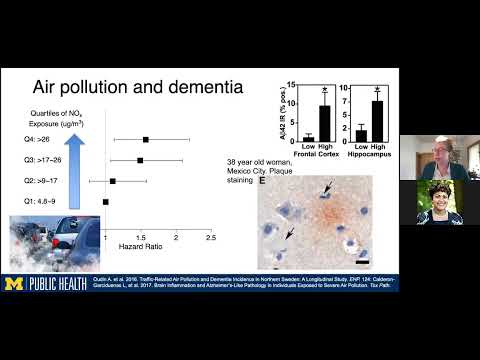 Exposures and Dementia Risk What Do Environmental Chemicals Have To Do With It