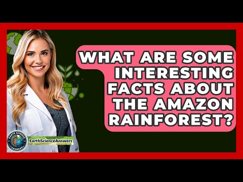 What Are Some Interesting Facts About The Amazon Rainforest? - Earth Science Answers