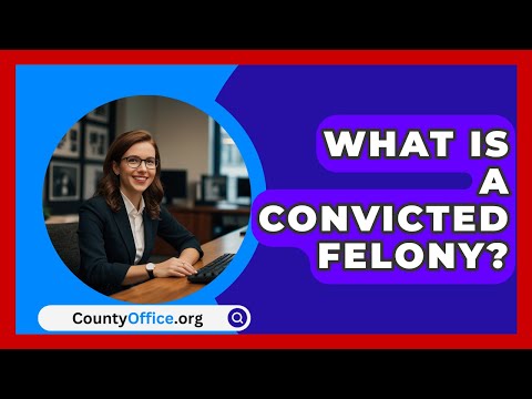 What Is A Convicted Felony? - CountyOffice.org