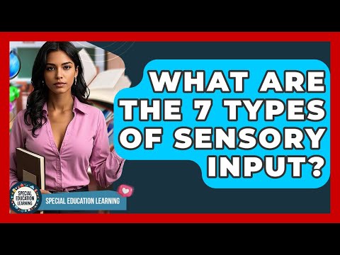 What Are The 7 Types Of Sensory Input? - Special Education Learning