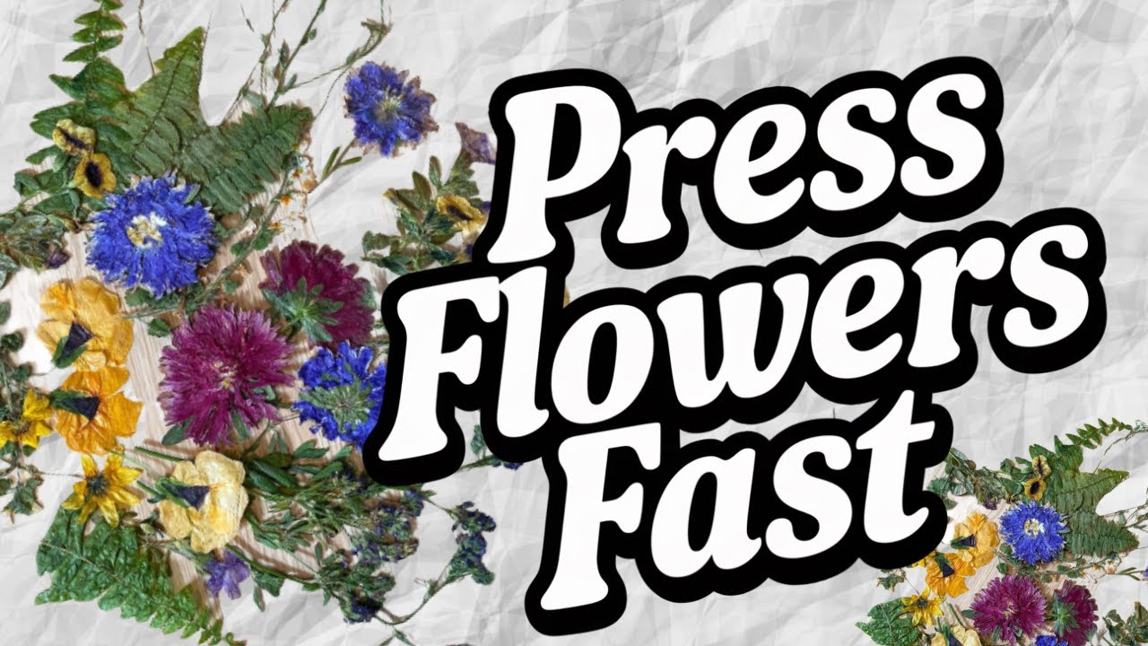 How to Press Flowers Fast: Quick Preservation | Easy DIY Tutorial
