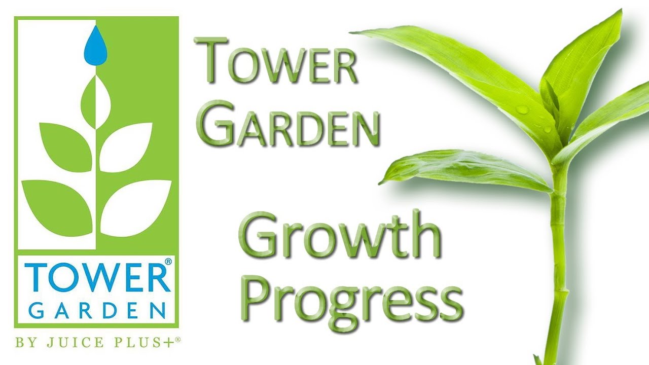 Tower Garden Growth Progress