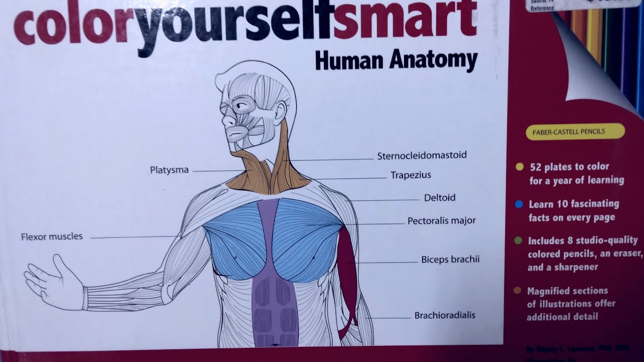 Kids Best Colouring Book of Human Body - Color Yourself Smart Human Anatomy - Review @RyansWorld