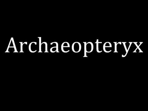 How to pronounce Archaeopteryx