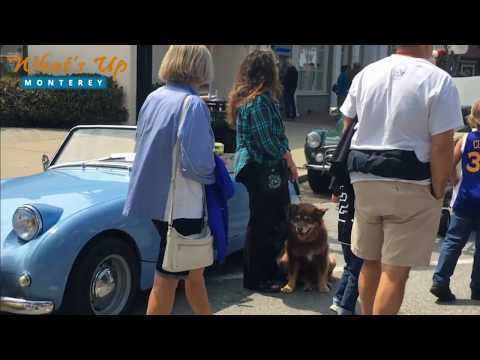 The Little Car Show | Monterey Car Week | WhatsUpMonterey.com