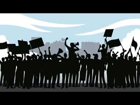 Did You Know the Amazing Psychology Behind the Bandwagon Effect