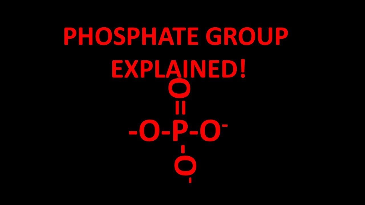 Phosphate functional group explained!