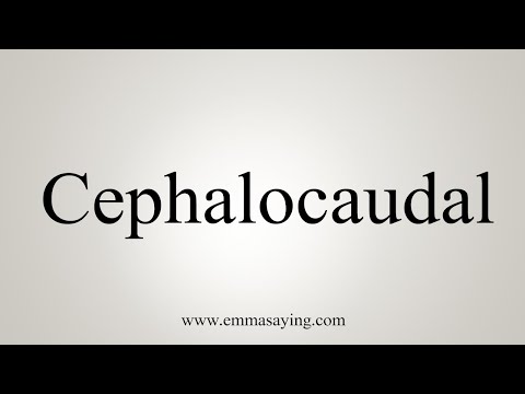 How To Say Cephalocaudal