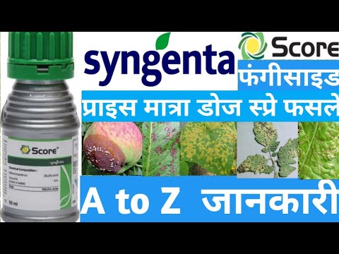 Syngenta Fungicides - Latest Price, Dealers & Retailers in India