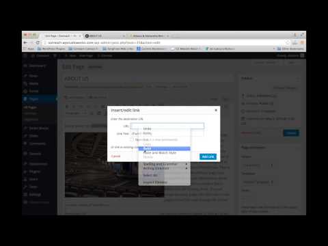 How to Add a Link in WordPress - WordPress Basics