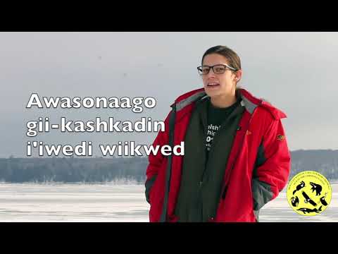 Red Cliff Ojibwe Phrase of the Week 12/23/2019