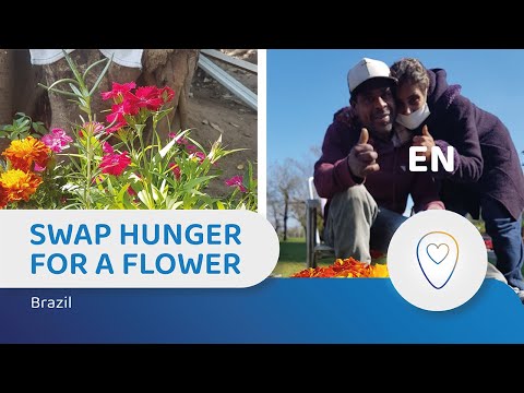 Brazil: Swap hunger for a flower