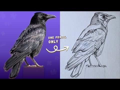 How to Draw an Animal Using ONLY Straight Lines | Unique Drawing Tutorial