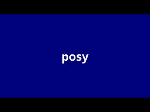 what is the meaning of posy
