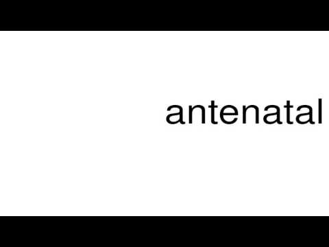 How to pronounce antenatal