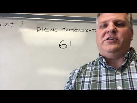 Mr. Olejnik Prime Factorization of 61
