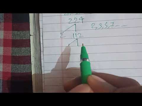 factor tree of 224 |prime factor tree |