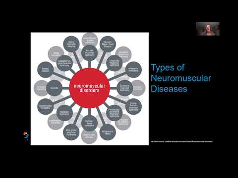 Introduction to the Diagnostic Odyssey of Neuromuscular Disease