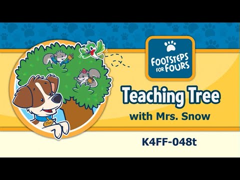 Footsteps for Fours - Teaching Tree